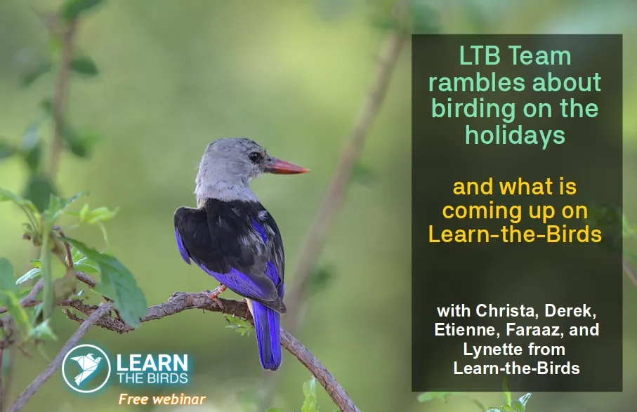 Learn-the-Birds Team Rambles about Birding during the Holidays – Learn ...
