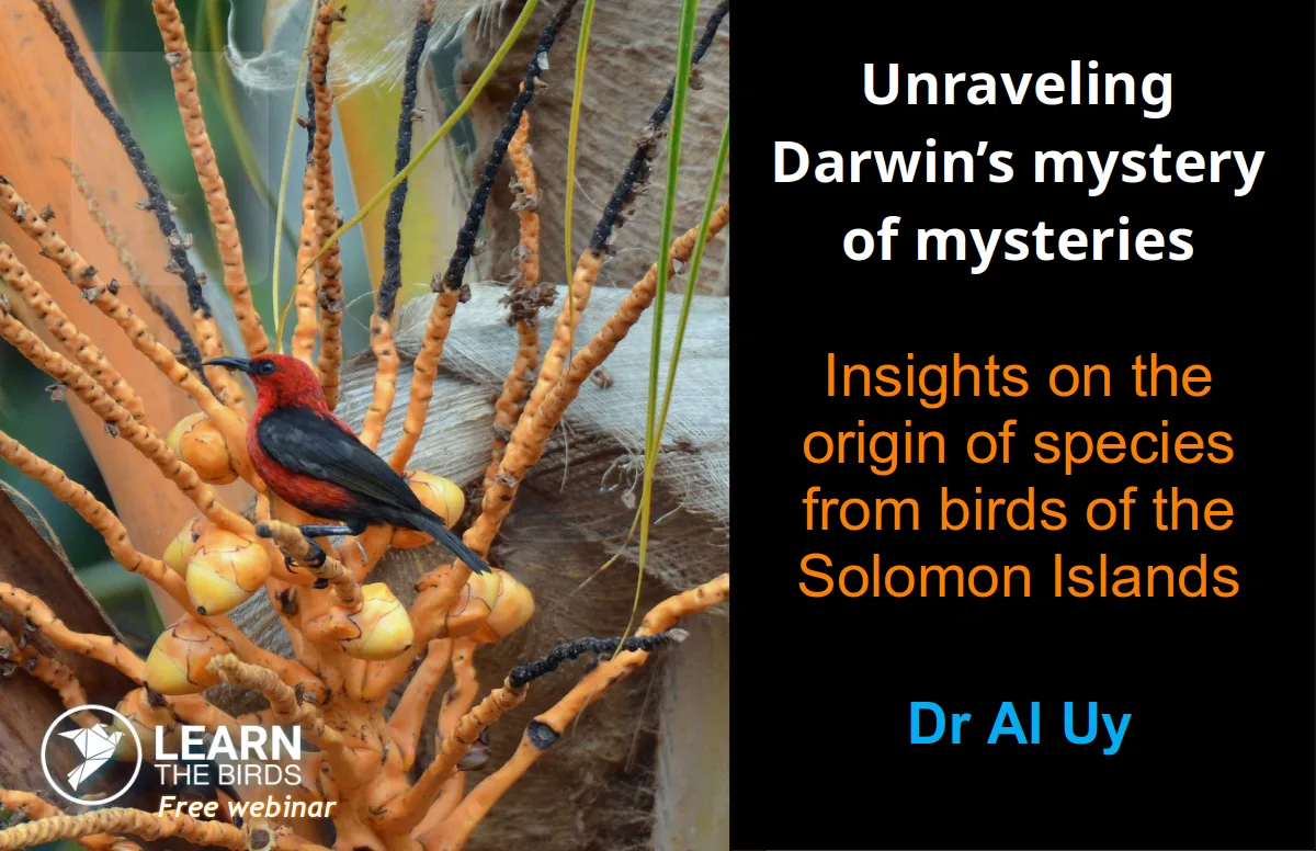 Unraveling Darwin’s mystery of mysteries: Insights on the origin of ...