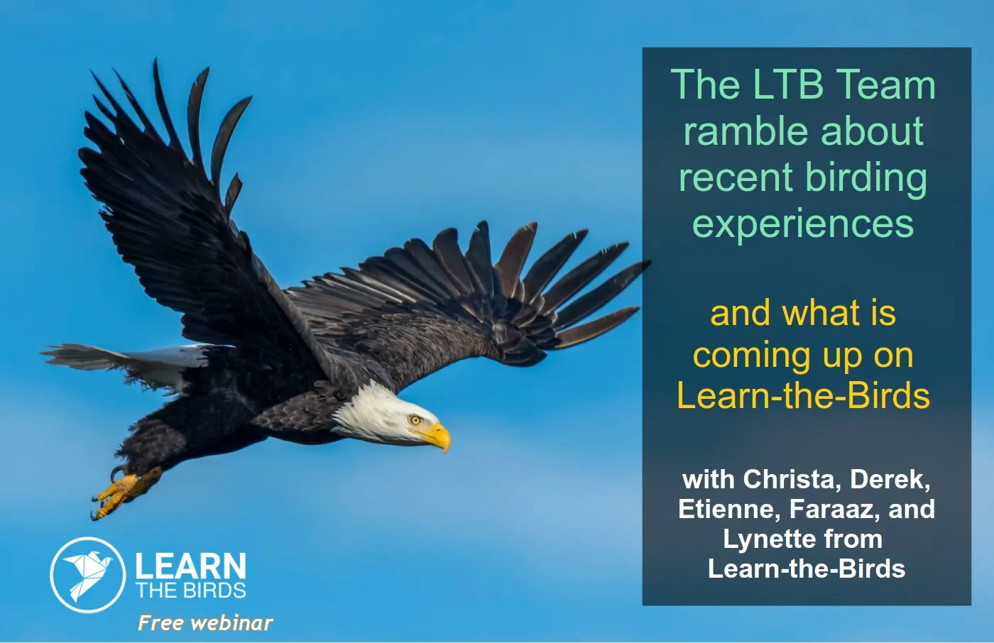 Learn-the-Birds Team Rambles – Learn the Birds